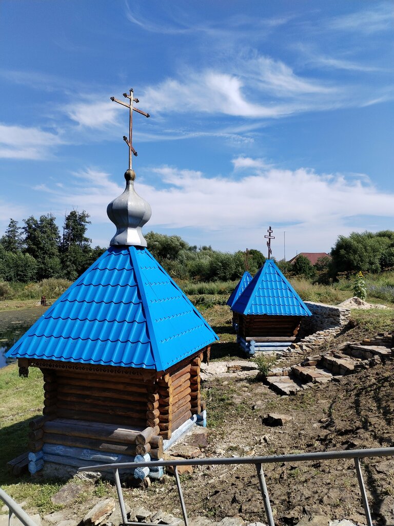 Turistik yerler 200-летнее дерево, Penzenskaya oblastı, foto