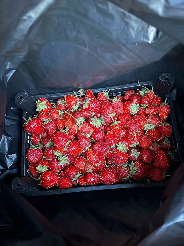 Manavlar Фруктовый мир, Saint‑Petersburg, foto