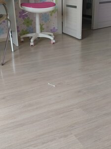 Dodo Pizza USA (Mississippi, Lafayette County, S314), kafe  Oxford'dan