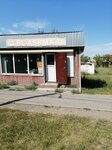 Alel asema lastochka (Karagandy, Bïryuzov street), un ve tahıllar  Karağandı'dan