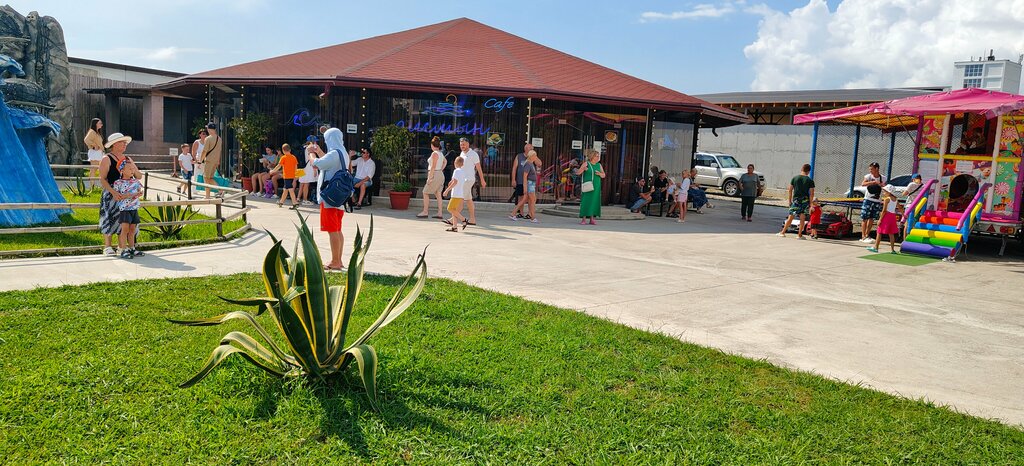 Kafe Кафе Амшан, Gagra, foto