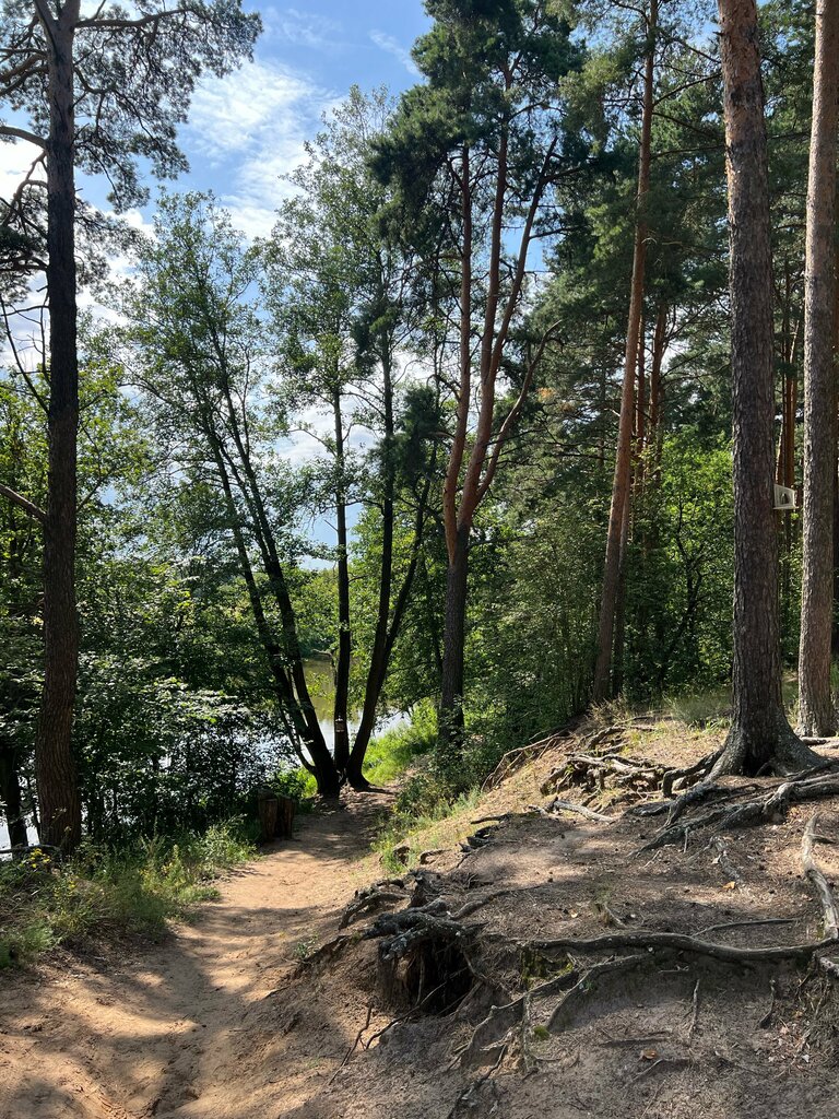 Pınar, çay Spring, stream, Moskova ve Moskovskaya oblastı, foto