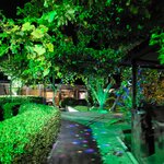 Hotel Complex Vinograd (ulitsa Gitsba No:3/1), otel  Pitsunda'dan
