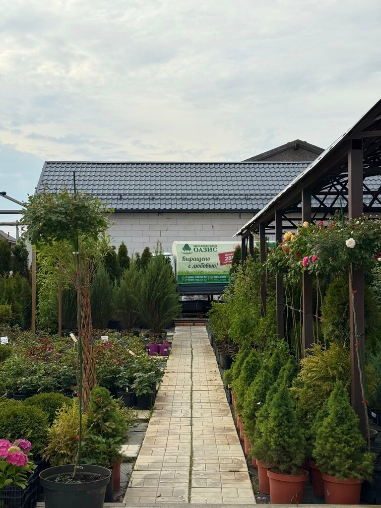 Sera ve bahçe ürünleri Moscow Oasis, Moskova ve Moskovskaya oblastı, foto