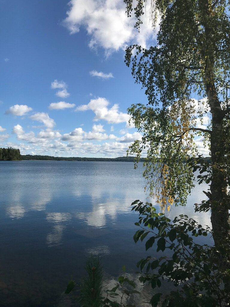 Plaj Пляж, Saint‑Petersburg ve Leningradskaya oblastı, foto