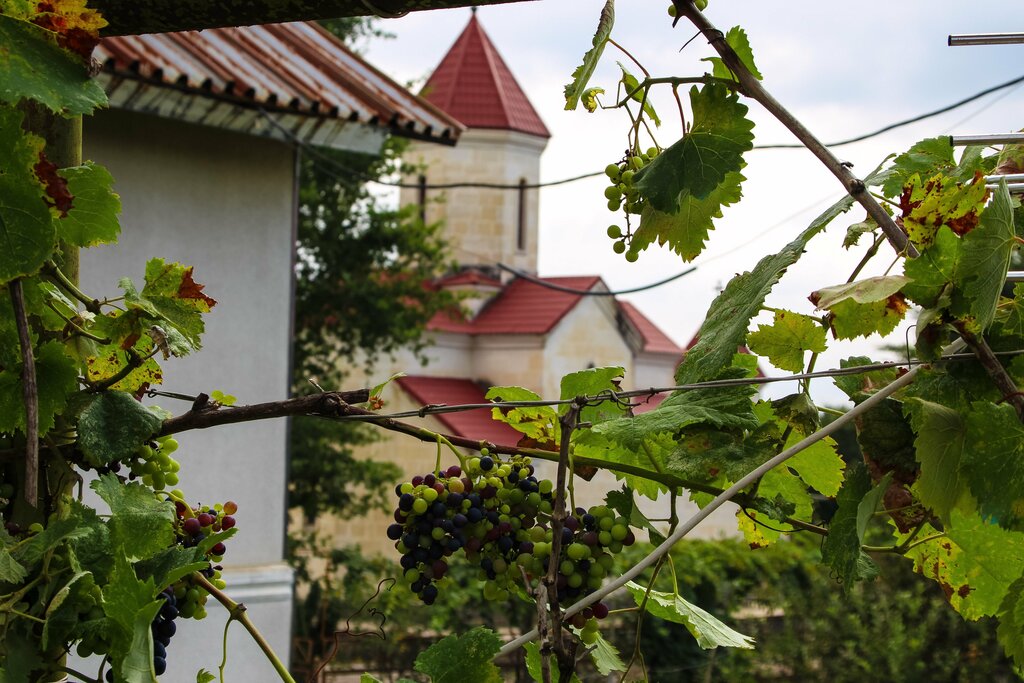 Ortodoks kiliseleri St. Nicholas Church, , foto