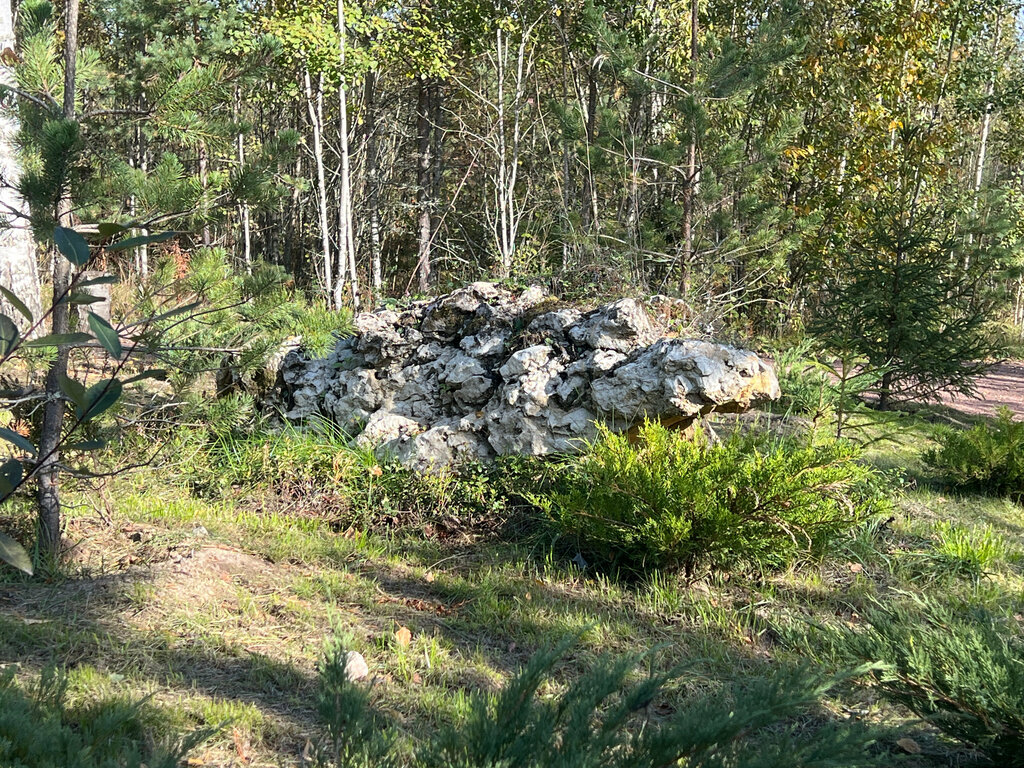 Park, sokak heykeli Камень-крокодил, Saint‑Petersburg ve Leningradskaya oblastı, foto
