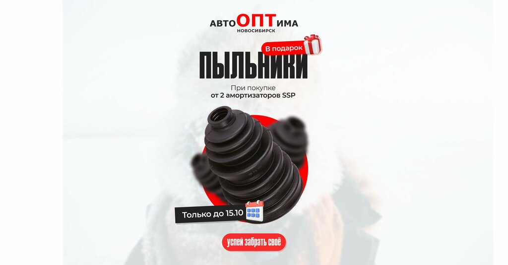 Yönetim ofisi Autooptima, Novosibirsk, foto