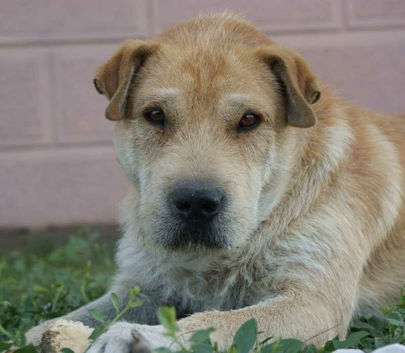Tren istasyonu Skra Station, , foto
