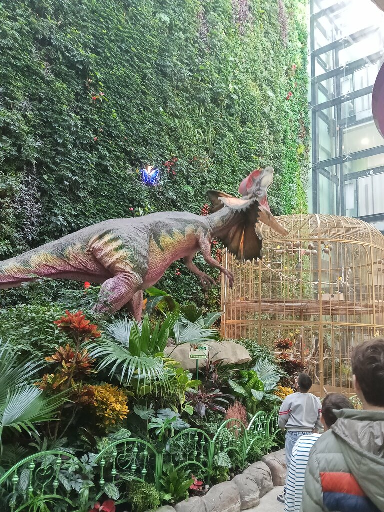 Alışveriş merkezleri Eurasia Supermall, Chan'chun, foto