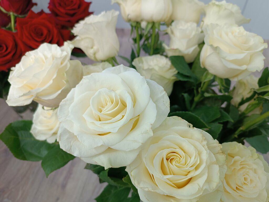 Çiçek teslimatı РосаЛи, Yekaterinburg, foto