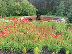 Центр досуга (Kurortnaya ulitsa No:29к2, posyolok Kurort-Samotsvet), termal otel  Sverdlovskaya oblastından