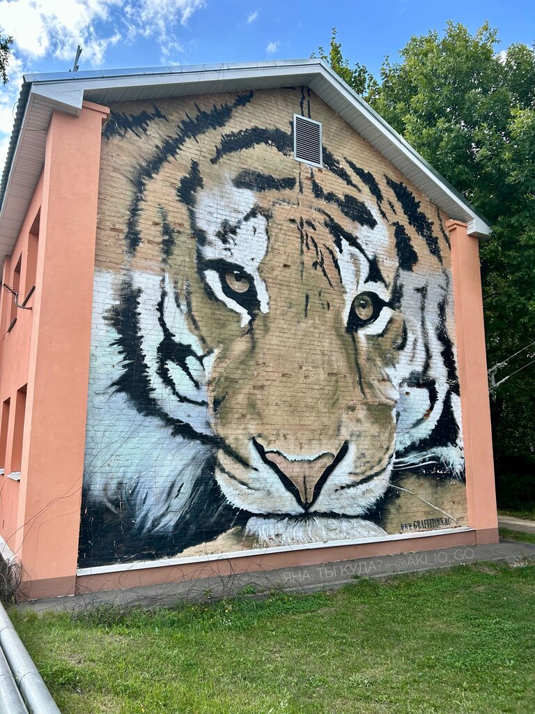 Sokak sanatı Тигр, Nijni Novgorod, foto