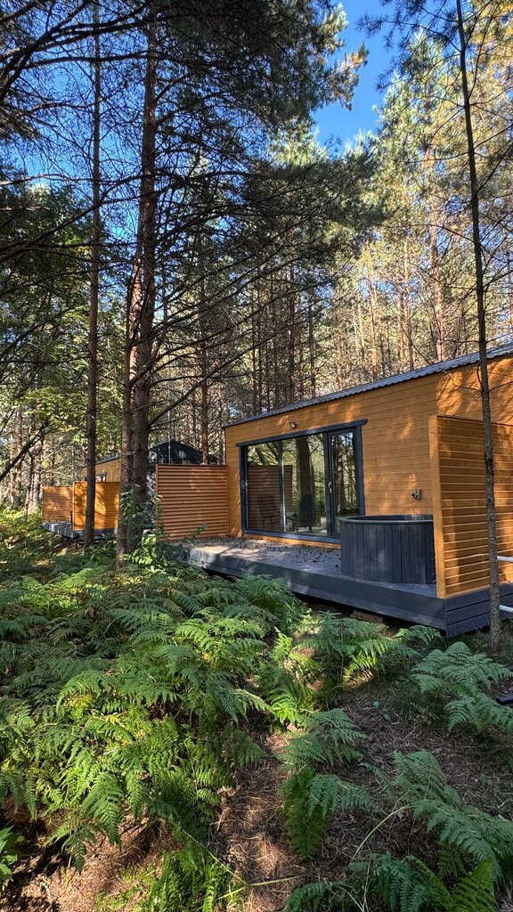 Konuk evi Где-то под Питером, Saint‑Petersburg ve Leningradskaya oblastı, foto