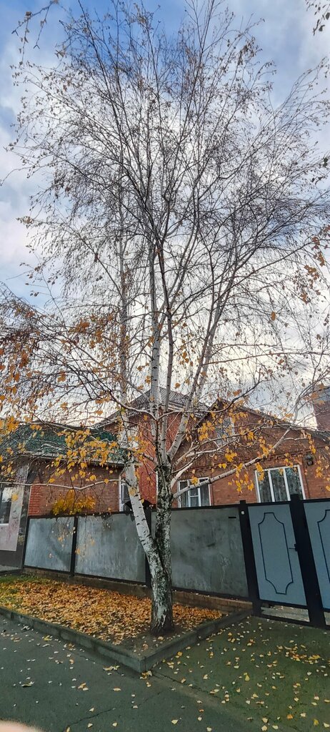 Spor barları Тайм-аут, Azov, foto