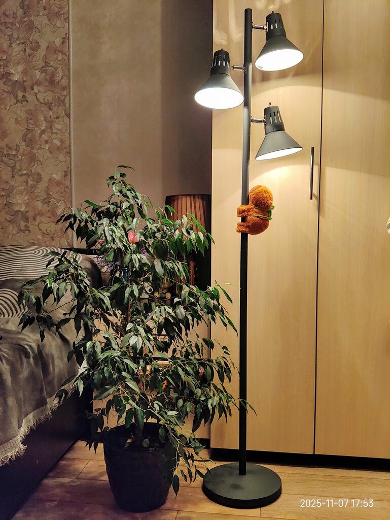 Lamba ve avize mağazaları Blesk, Petropavl (Petropavlovsk), foto