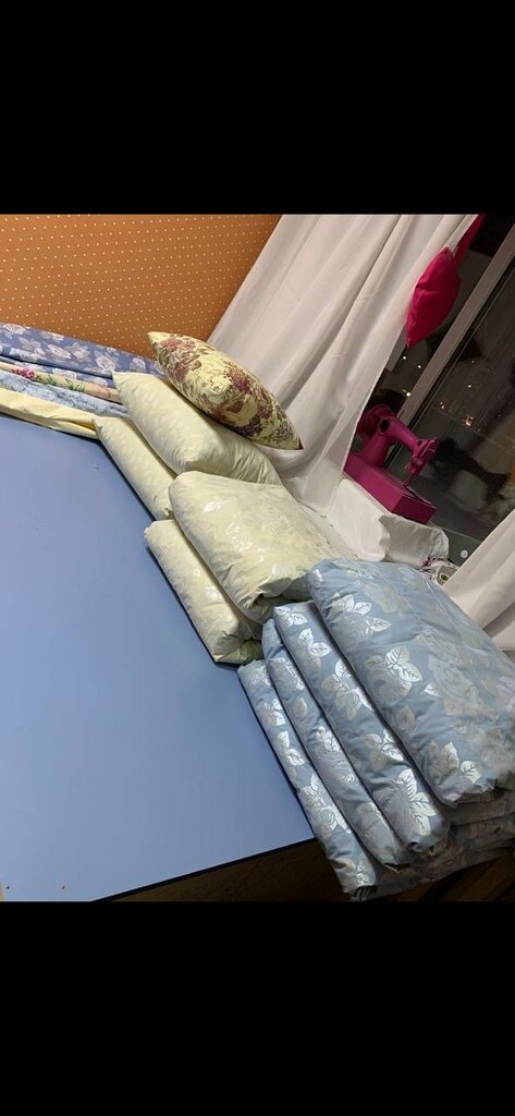 Oto temizleyicisi Чистка подушек, Belgorod, foto