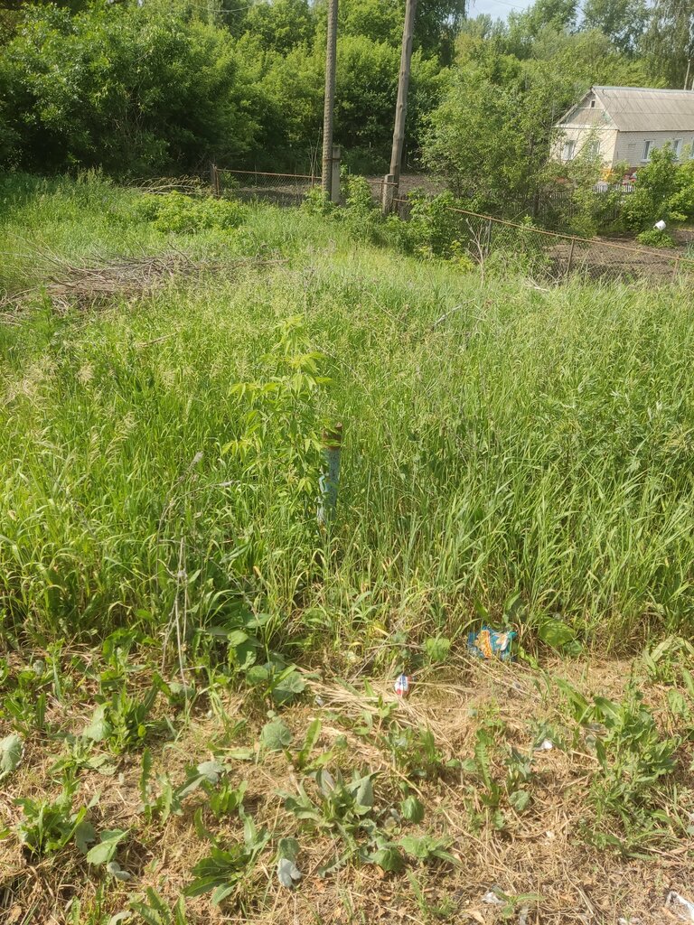Tulumba Standpipe, Spassk, foto
