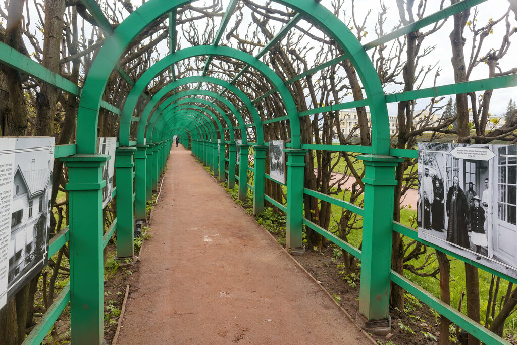 Doğa Восточное берсо, Moskova ve Moskovskaya oblastı, foto