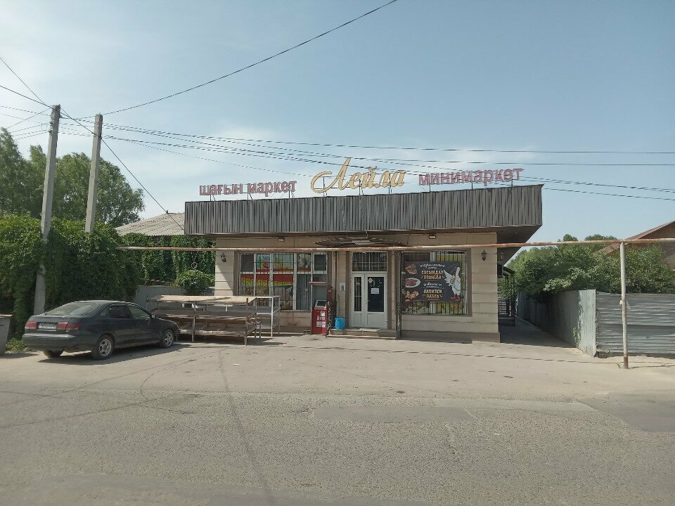 Evcil hayvan kuaförleri Visiting the groomers, Almatı, foto