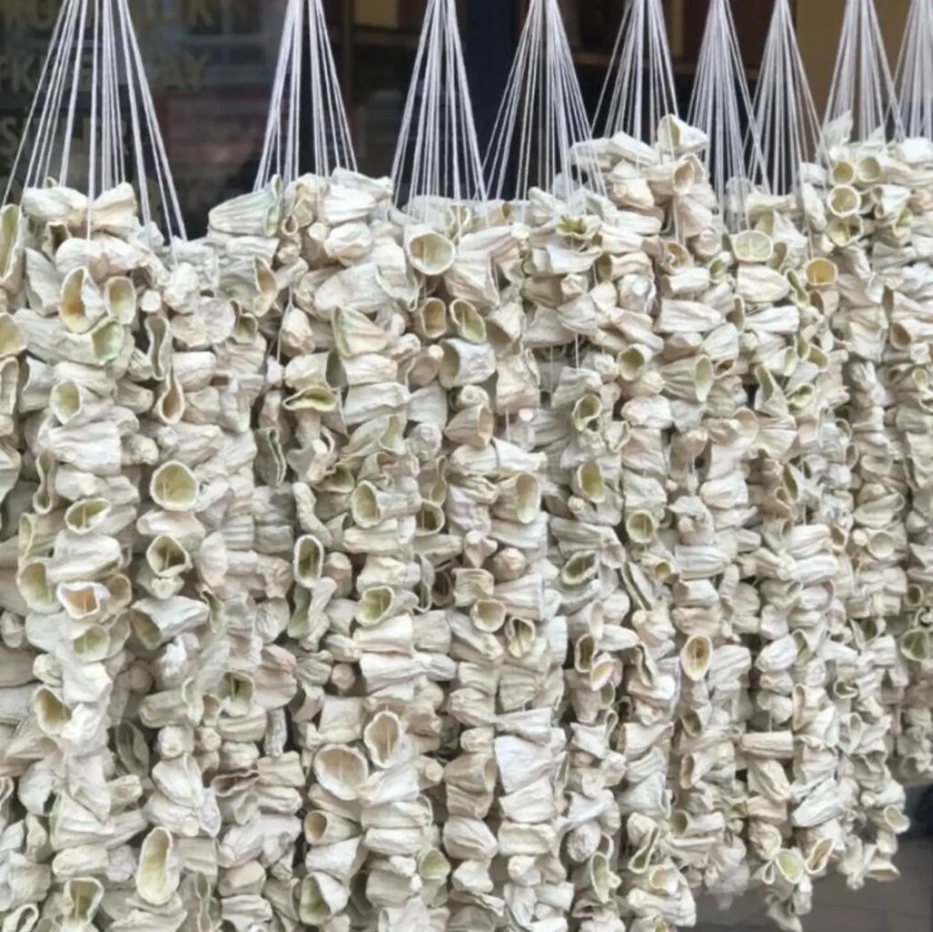 Besin takviyesi, aktariye Sahra Baharat, Mersin, foto