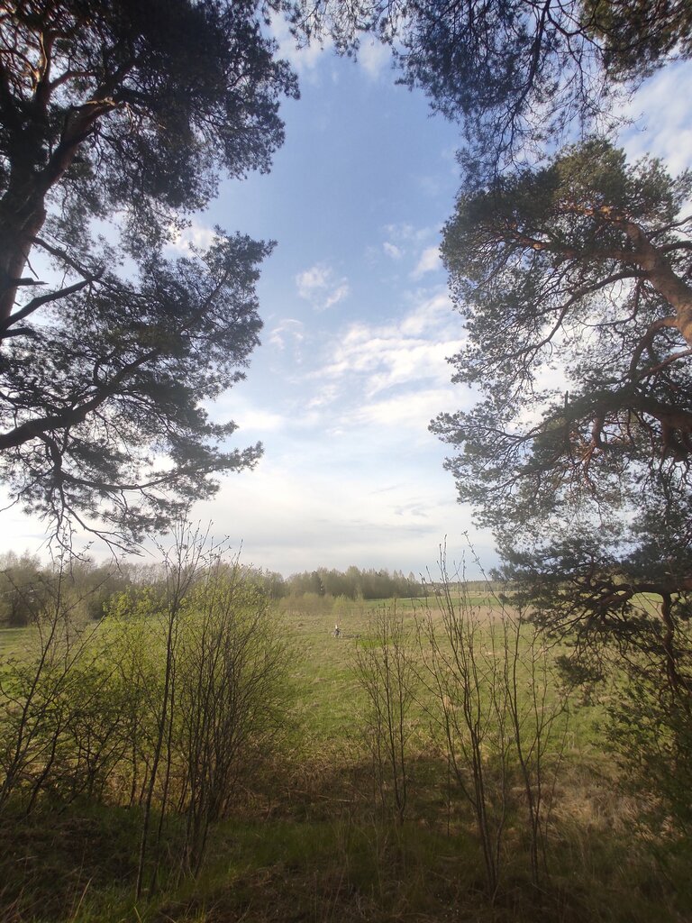 Turistik yerler Сопка-курган, Novgorodskaya oblastı, foto