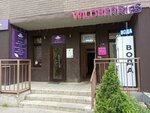 Wildberries (Moskovskaya Street No:23), teslimat noktası  Dmitrov'dan