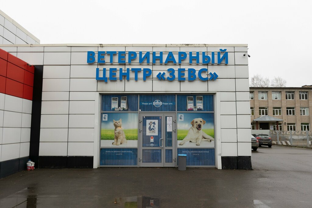Veteriner klinikleri Zevs, Naro‑Fominsk, foto