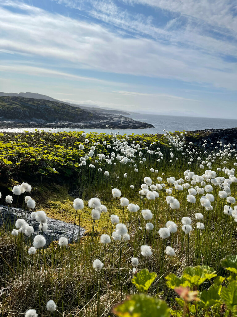 Tatil altyapısı Арктические сны, Murmanskaya oblastı, foto