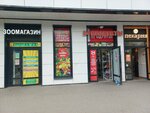 Продукты 24 (Srednerogatskaya Street No:16к4), market  Saint‑Petersburg'dan