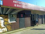 Автопрокат 55 (ulitsa Stanislavskogo No:1/2, Urban-Type Settlement of Sirius), oto kiralama  Krasnodarski krayından