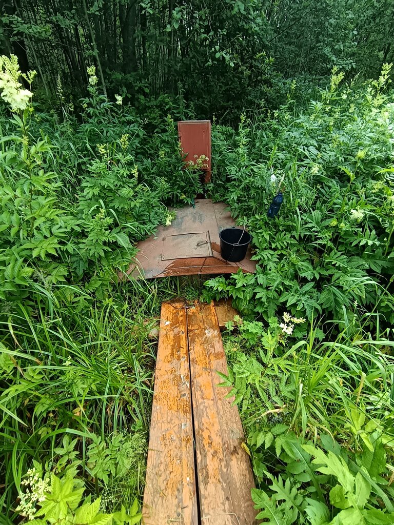 Pınar, çay Spring, stream, Yaroslavskaya oblastı, foto