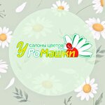 U Romashki (Streleckaya Street No:64А), çiçekçiler  Kaşira'dan
