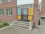 Апельсинки (No:44, posyolok Mekhzavod, 1-y kvartal), çocuk gelişim merkezleri  Samara'dan