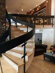 Royal inn (Kralja Petra Street No:56), kafe  Belgrad'dan