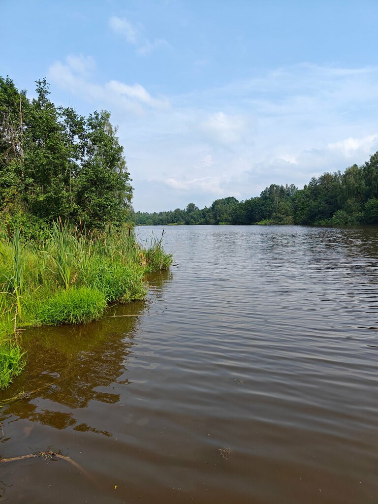 Mühendislik altyapısı Плотина, Moskova ve Moskovskaya oblastı, foto