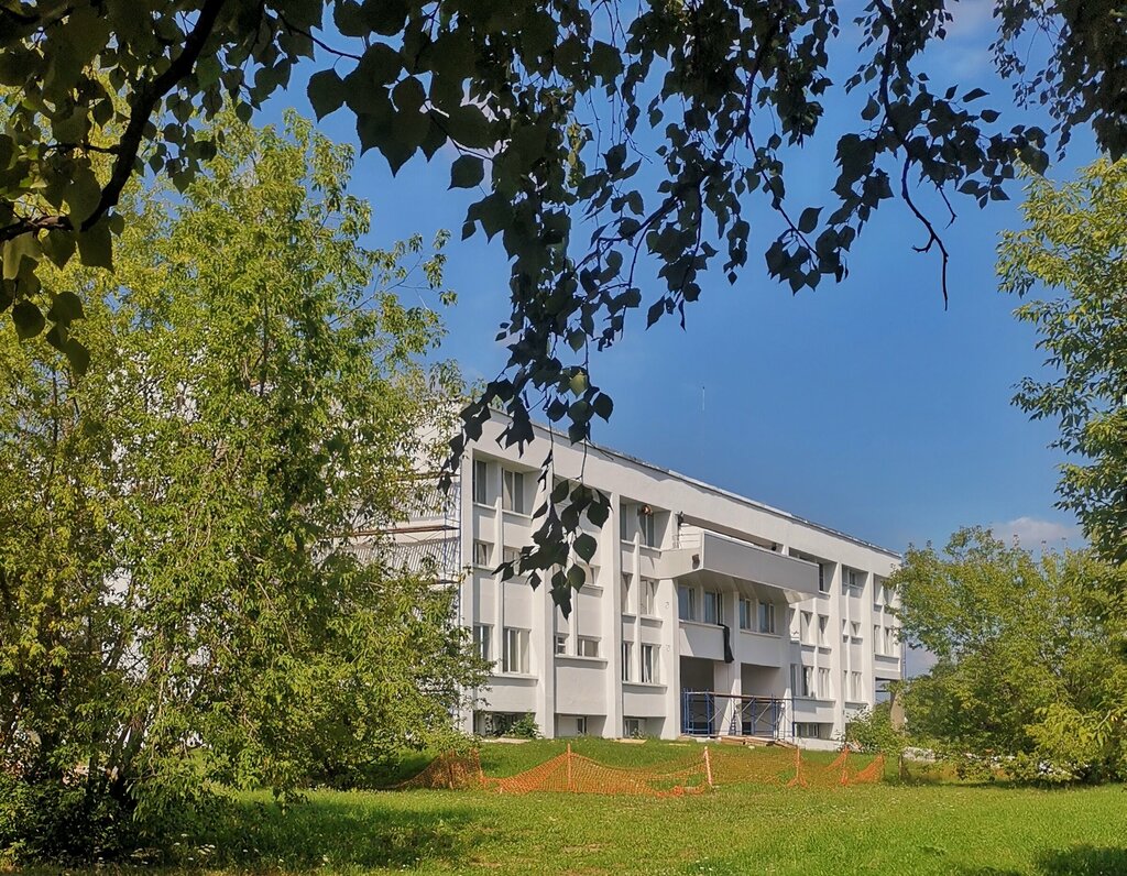 Sivil toplum kuruluşları Движение Первых, Kirov, foto