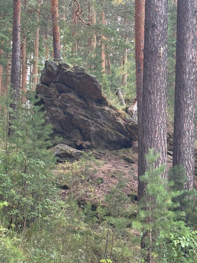 Dağ zirvesi Скала, Rej, foto