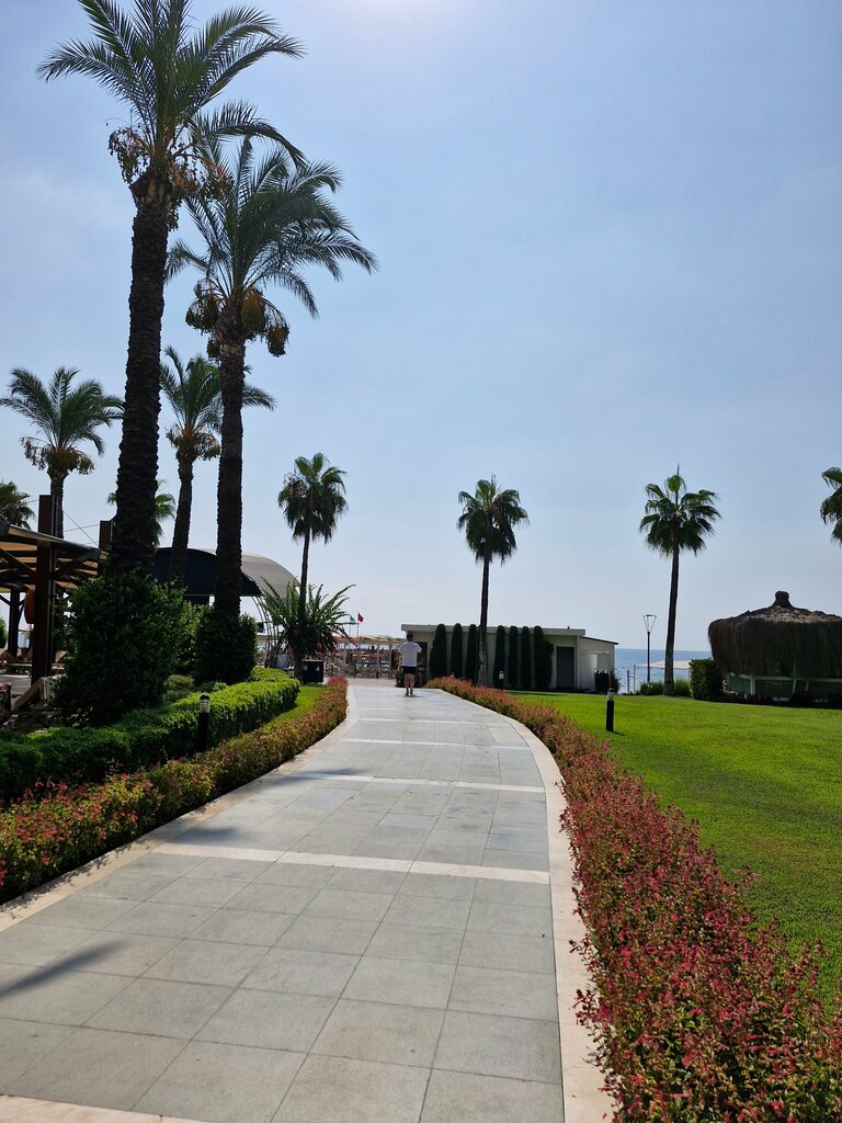 Kültür ve eğlence parkları Ormanlık alan, Kemer, foto