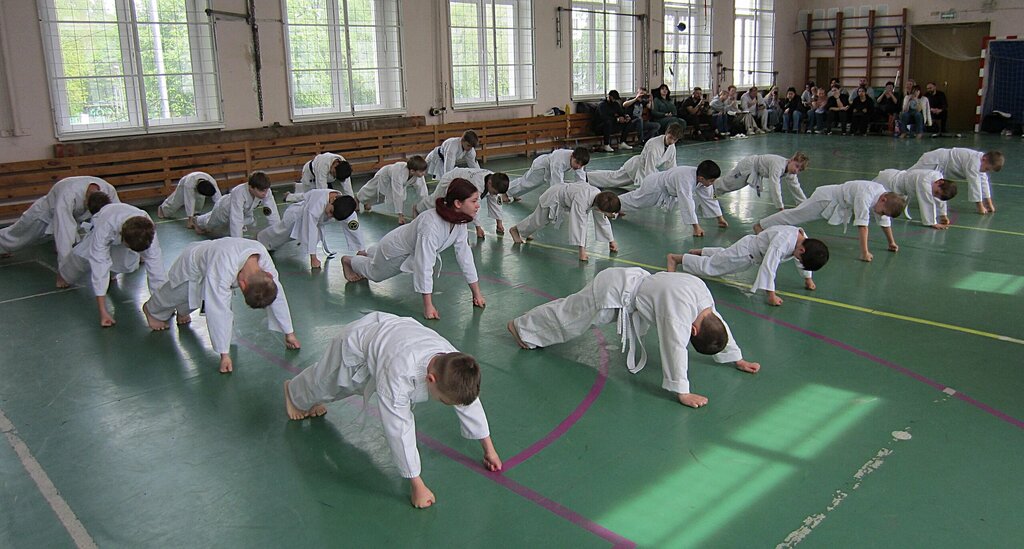 Spor okulları Кемпо, Himki, foto