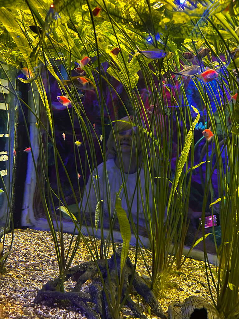 Üniversiteler Крымский филиал ФГКОУ ВО Краснодарского университета МВД РФ, Yevpatorya, foto