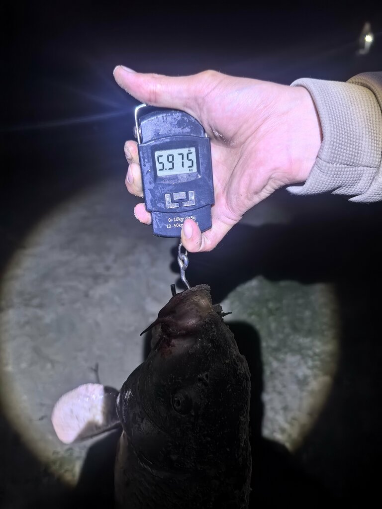 Avcılar ve balıkçılar Платная рыбалка, Ulyanovskaya oblastı, foto