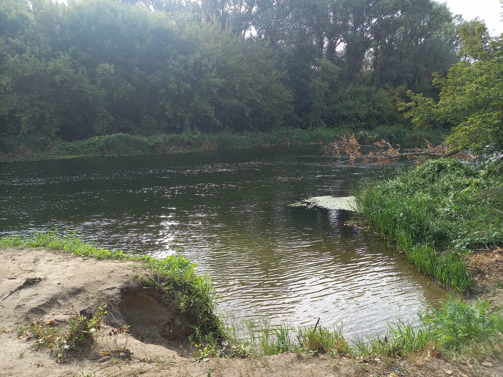 Plaj Пляж Америка, Jirnovsk, foto