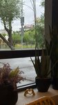 Место встречи (Khokhryakova Street No:69), kafe  Tiumen'den