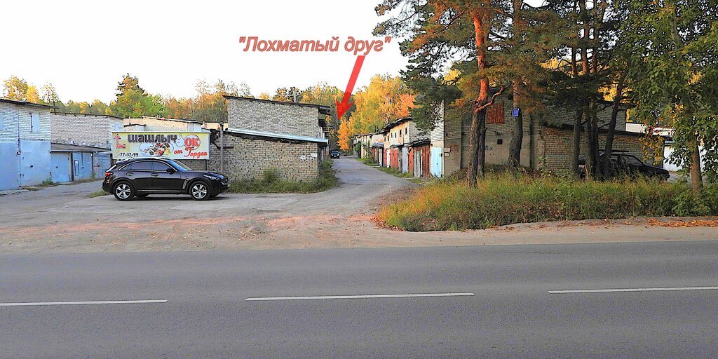 Hayvan barınakları, kulüpleri ve otelleri Благотворительный фонд Лохматый друг, Zarechny, foto