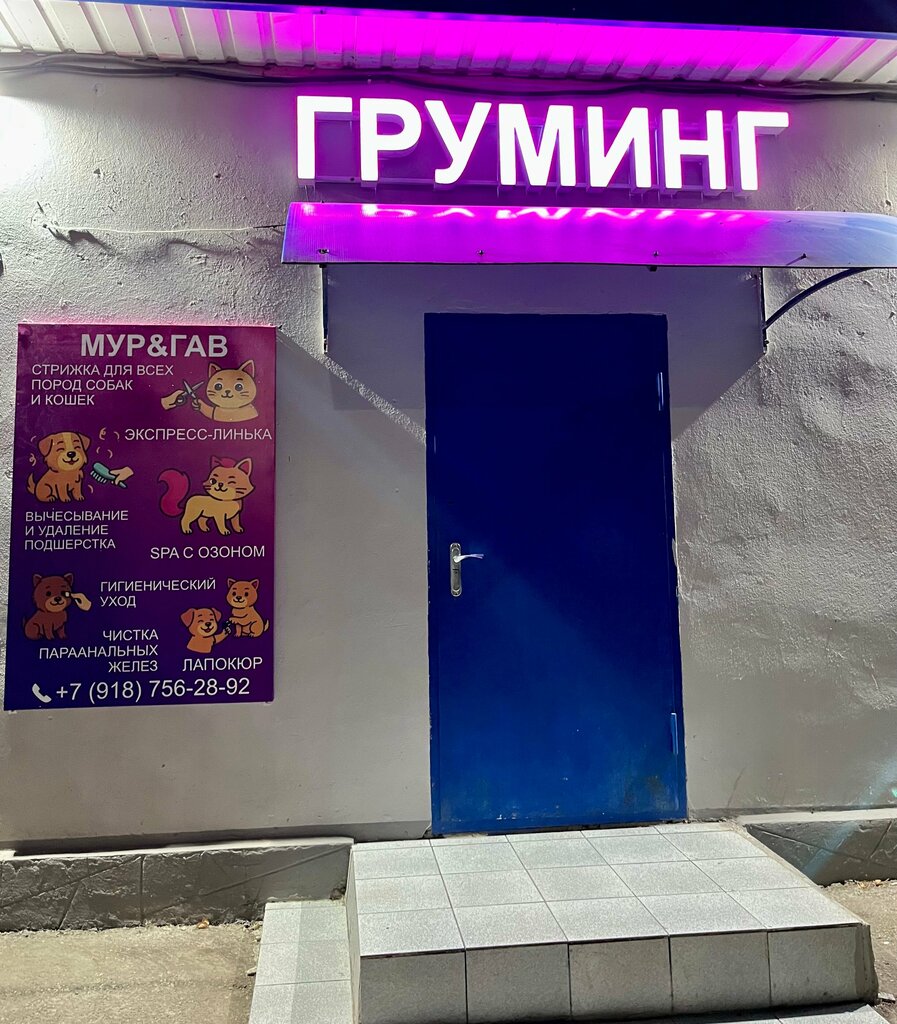 Evcil hayvan kuaförleri Груминг, Stavropolski krayı, foto