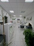 Kogtetochka dlya Porodistyh Kis (prospekt imeni pisatelya Znamenskogo No:9к2), manikür-pedikür  Krasnodar'dan