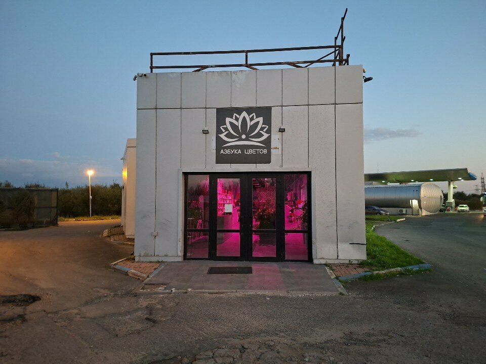 Çiçekçiler Азбука Цветов, Saint‑Petersburg, foto