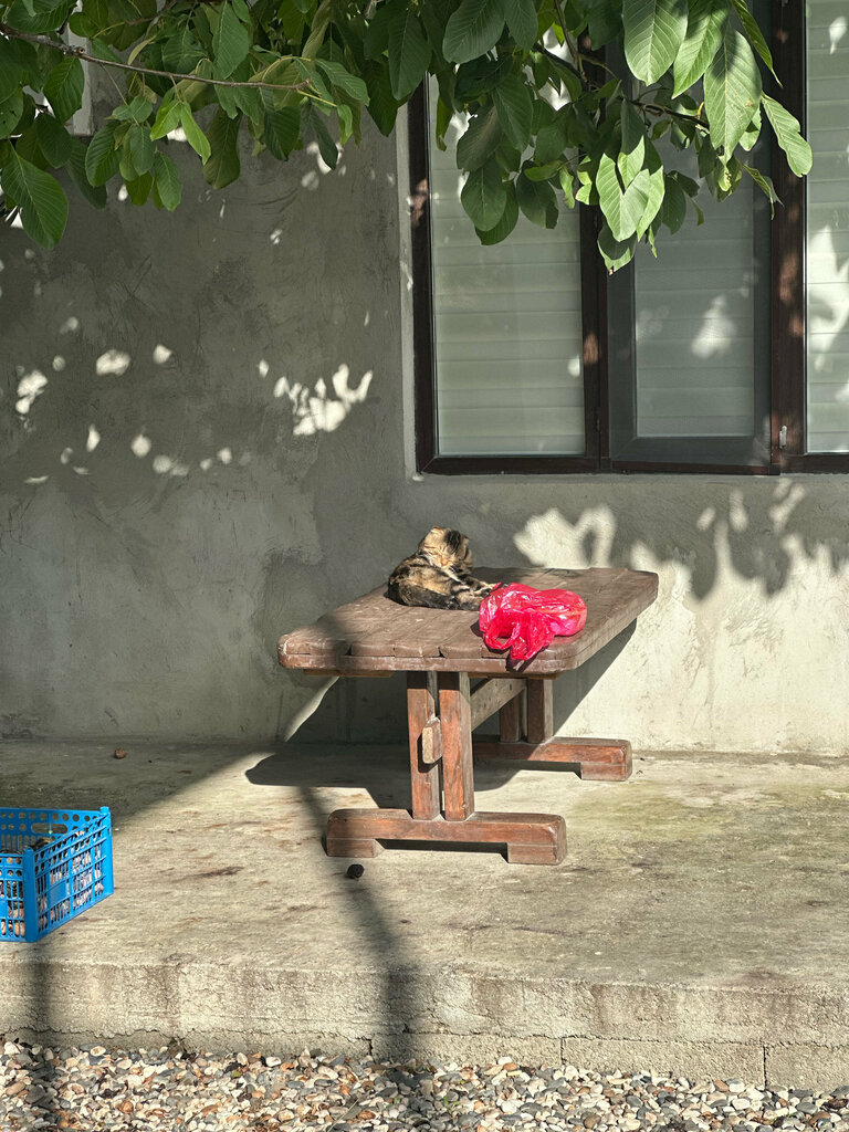 Konuk evi Уют гор, Dağıstan, foto