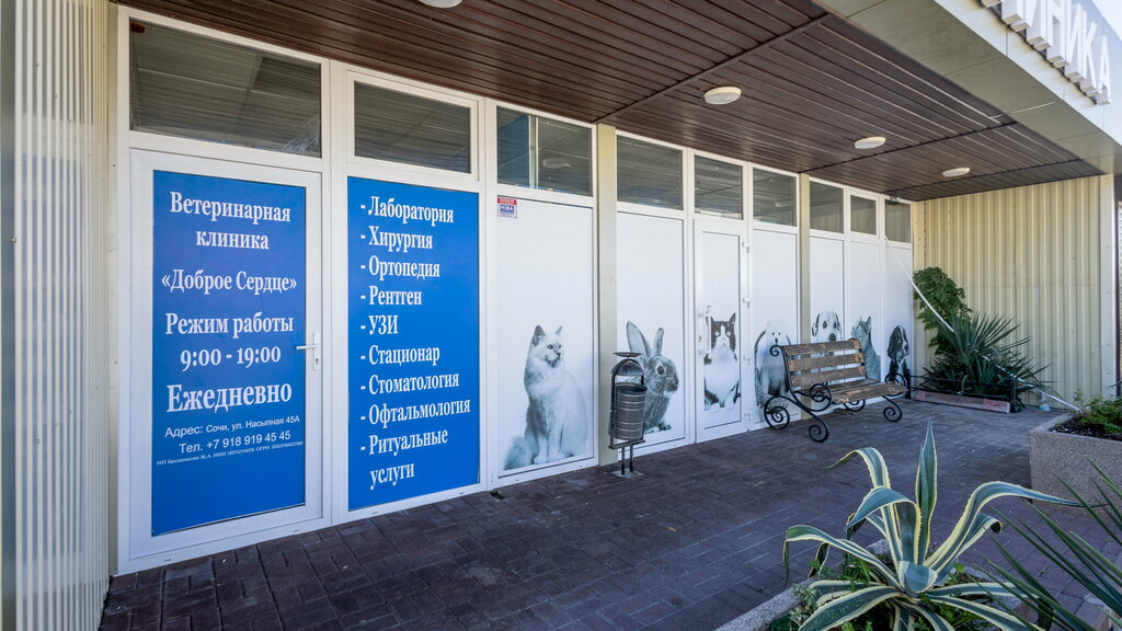 Veteriner klinikleri Dobroe serdce, Soçi, foto